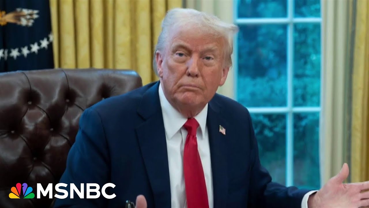 Joe: Courts, not a vice president, determine the outlines of a ...